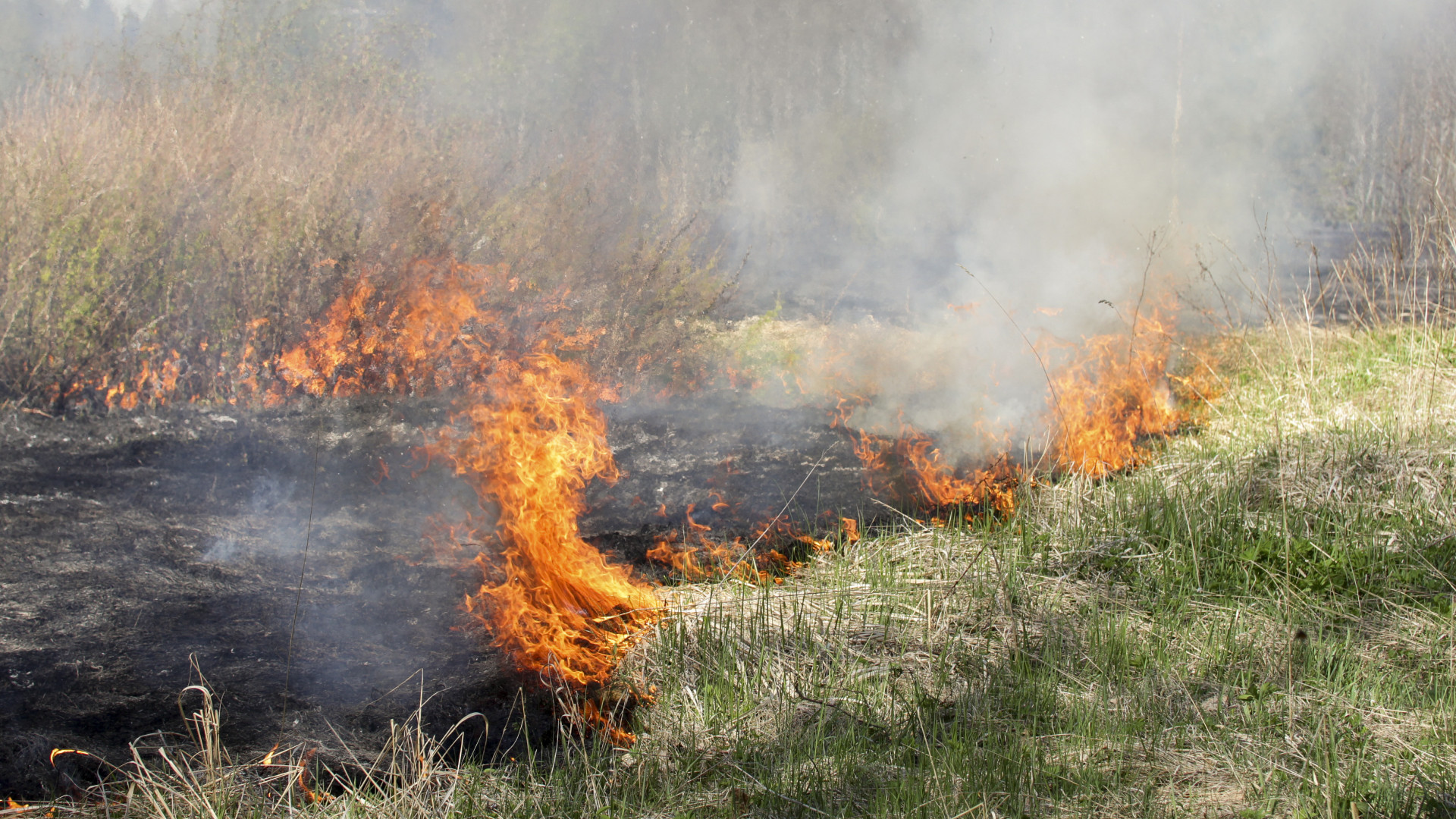 Valsts ugunsdzēsības un glābšanas dienests (VUGD) informē - kūlas ...